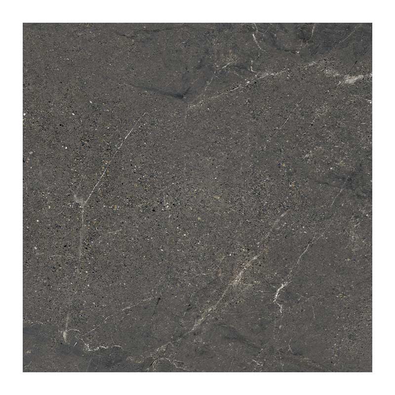 Lea Ceramiche Anthology 05 Dark 60 x 60 cm Rough | LC-LGWAL58