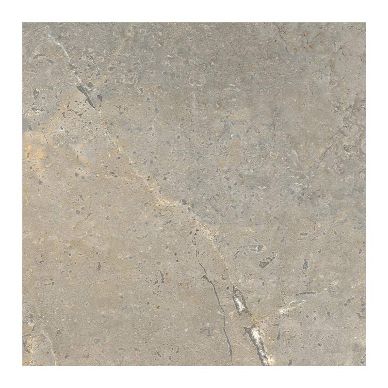 Lea Ceramiche Anthology 03 Earth 60 x 60 cm Natural | LC-LGWAL35